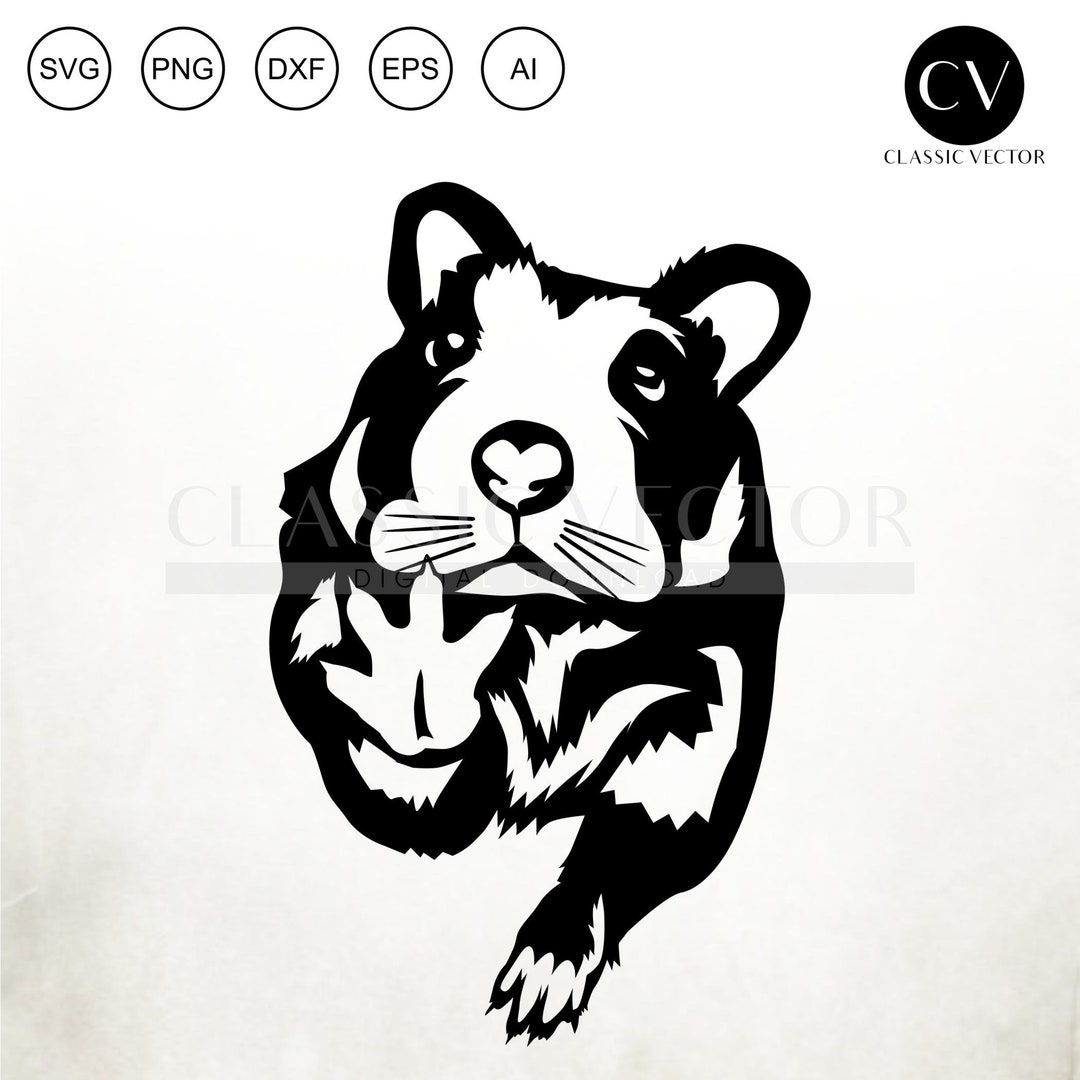 Funny Hamster, High Five Svg, Cute Hamster, Hamster Svg, Hamster Png ...