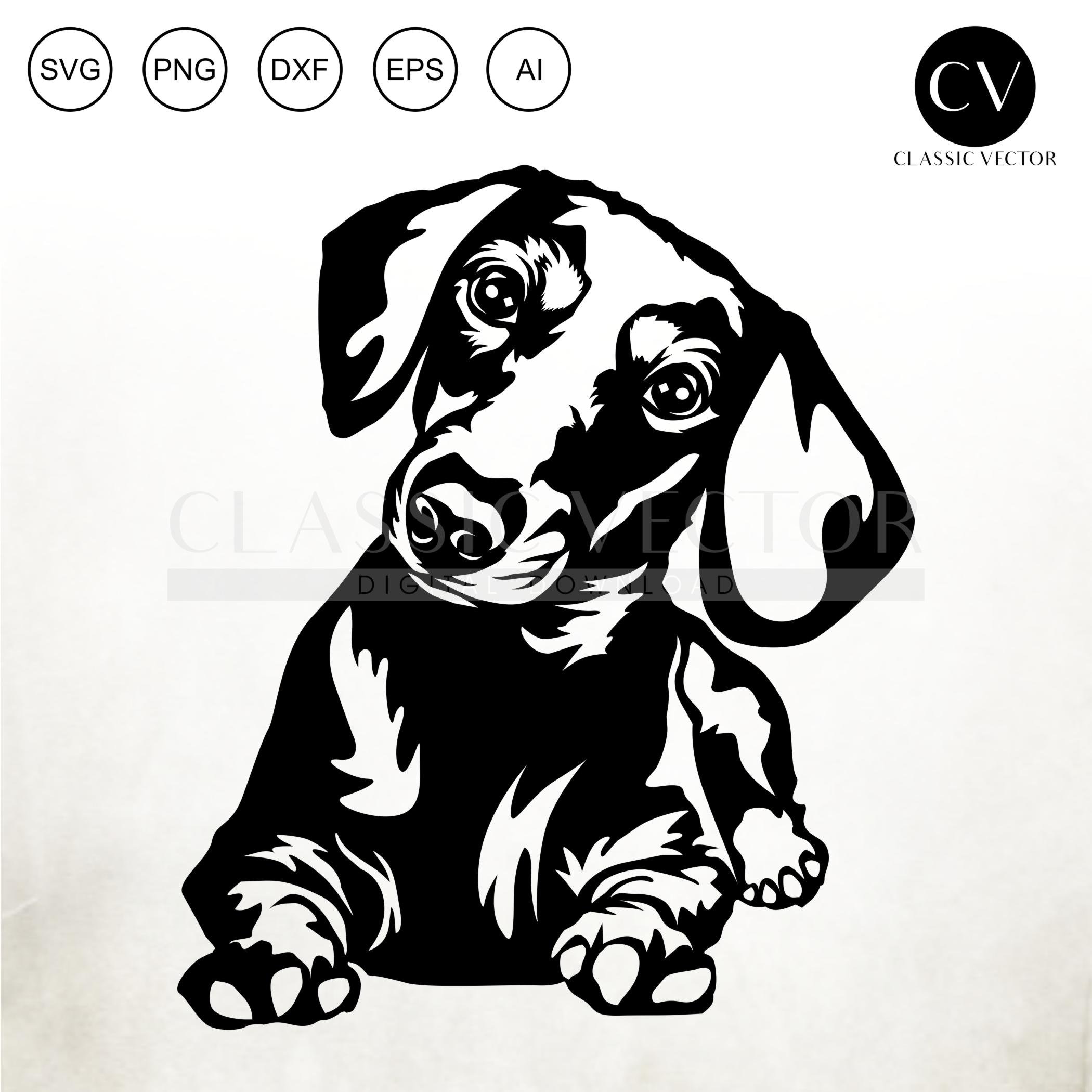 Cute Puppy Dachshund Svg | Etsy