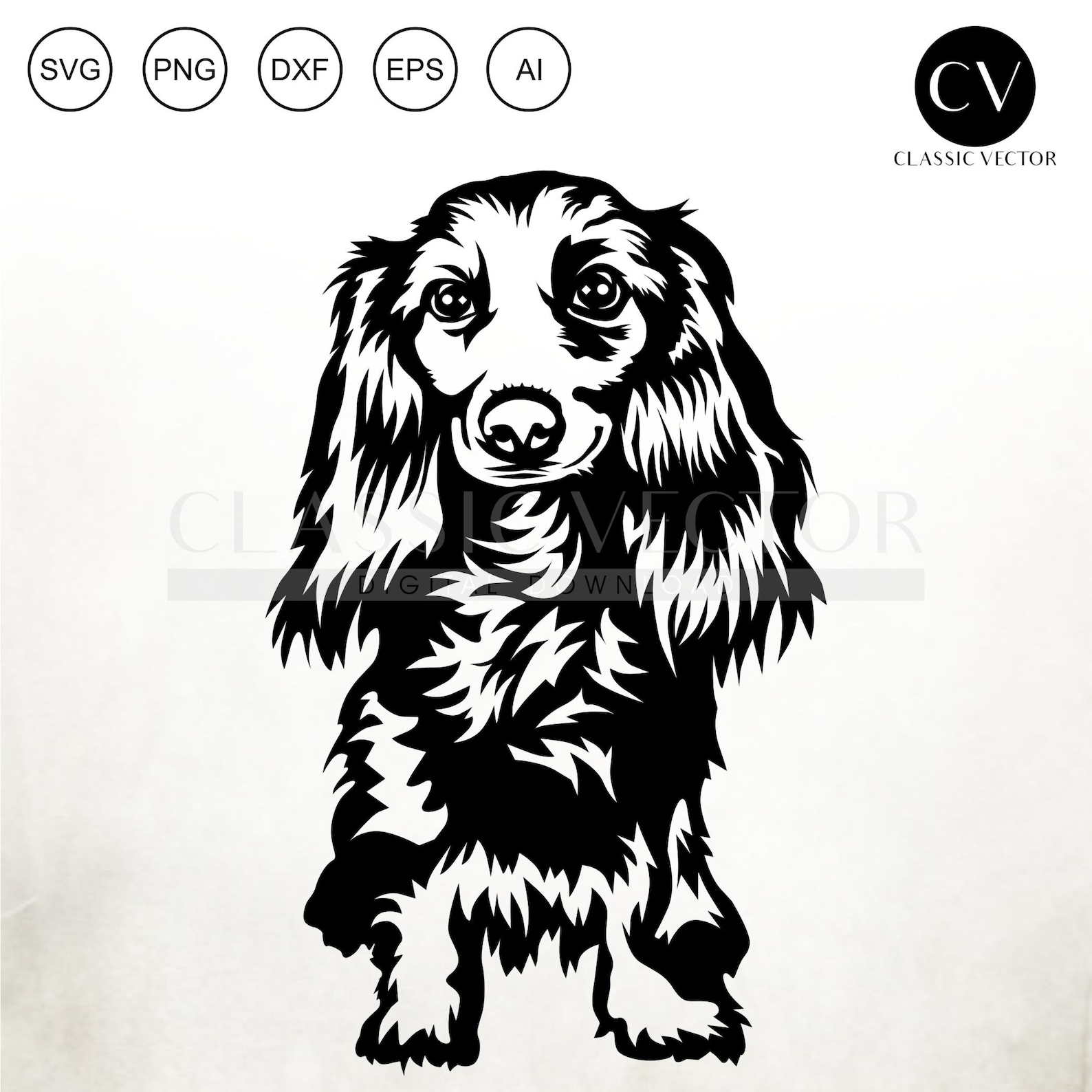 Long Haired Dachshund Clipart Dog Svg | Etsy