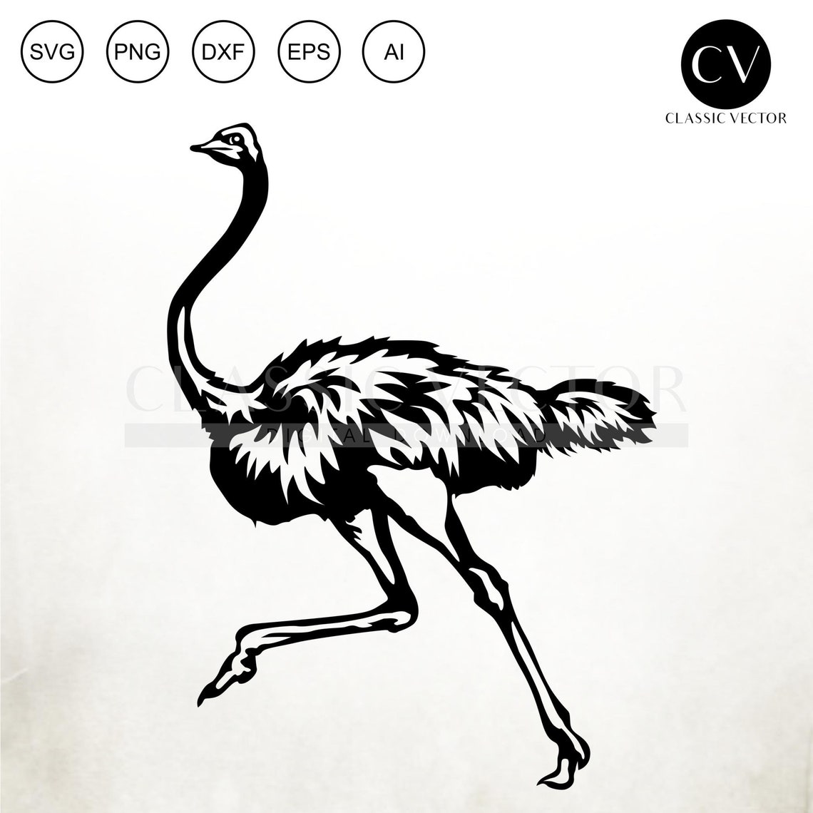 Running Ostrich Svg, Ostrich Running Png, Ostrich Silhouette, Fast ...