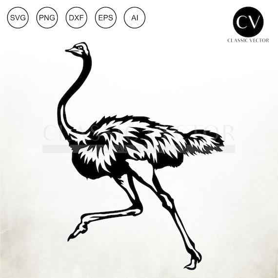 Running Ostrich Svg Ostrich Running Png Ostrich Silhouette | Etsy