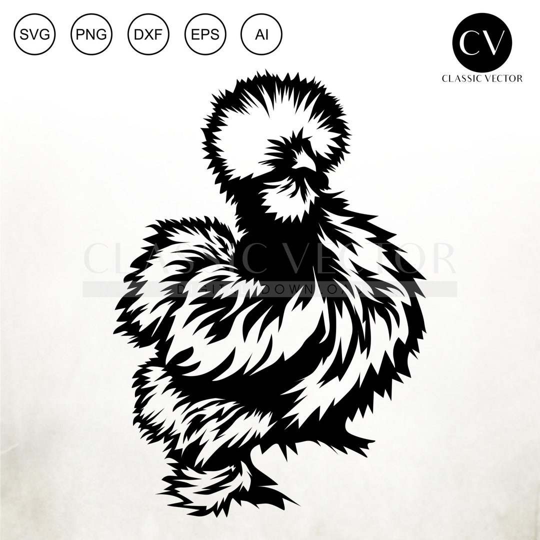 Beautiful Silkie Hen SVG - Chicken Svg - Etsy