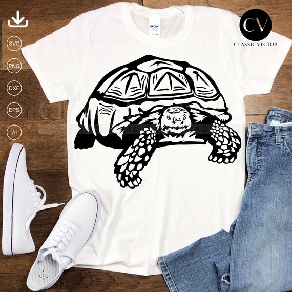 Tortoise Svg File | Etsy