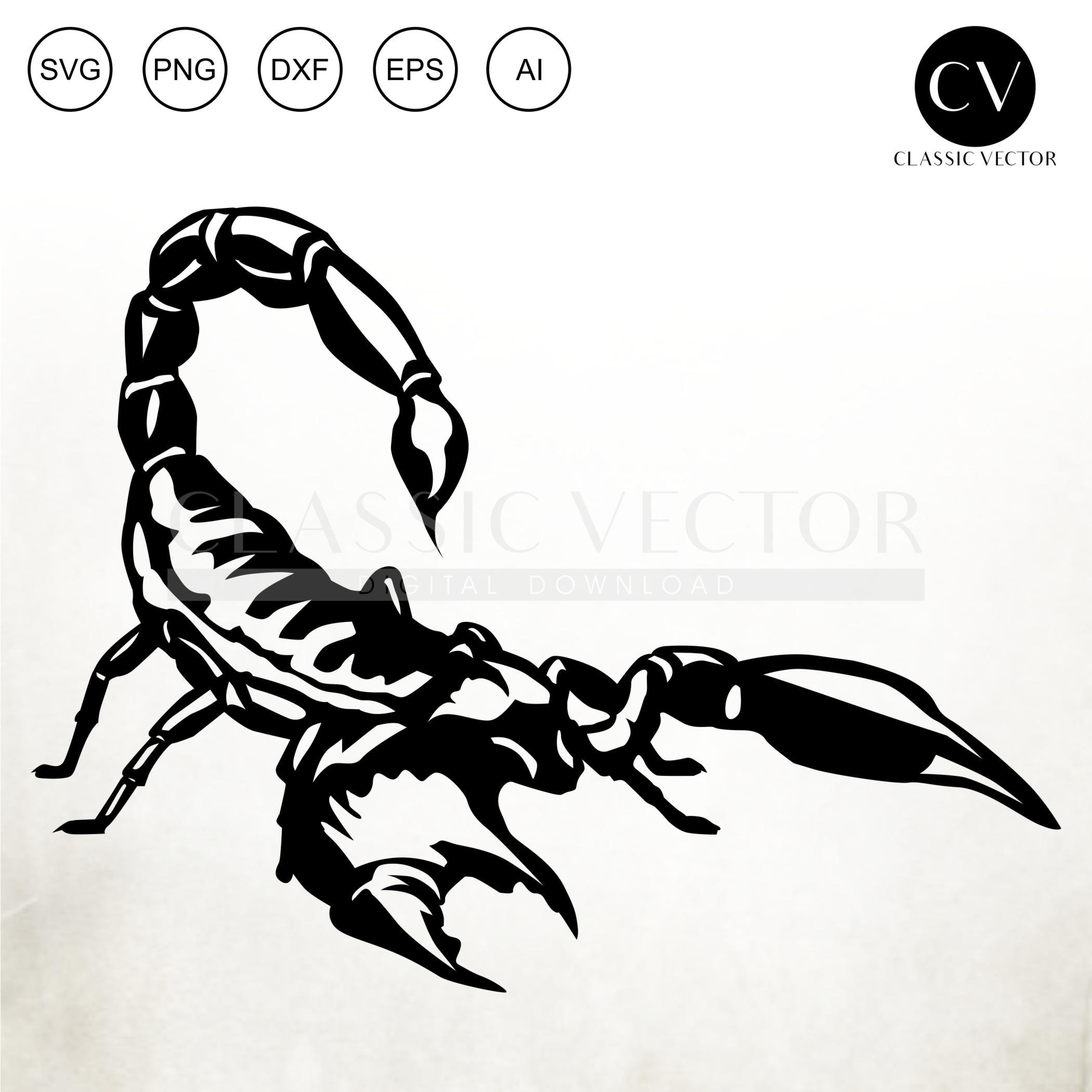 Scorpion Cut File, Svg File for Cricut, Files for Cricut, Scorpion ...