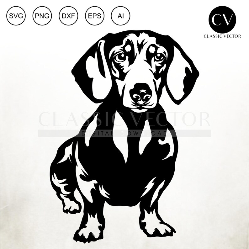 Sausage Dog SVG - Etsy