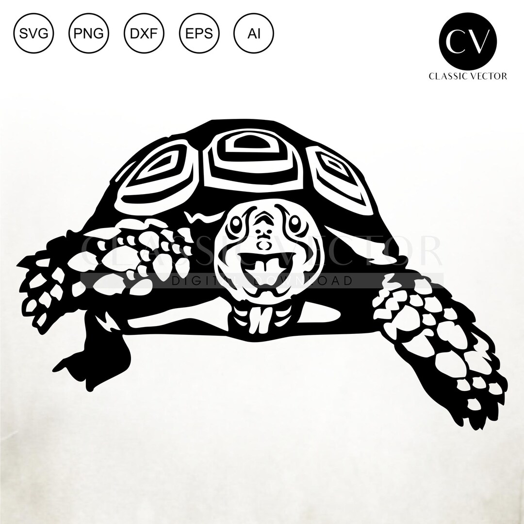 Cute Tortoise Svg, Tortoise Png, Turtle Svg, Turtle Png, Turtle Vector ...