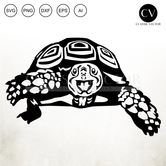 Cute Tortoise Svg Tortoise Png Turtle Svg Turtle Png - Etsy
