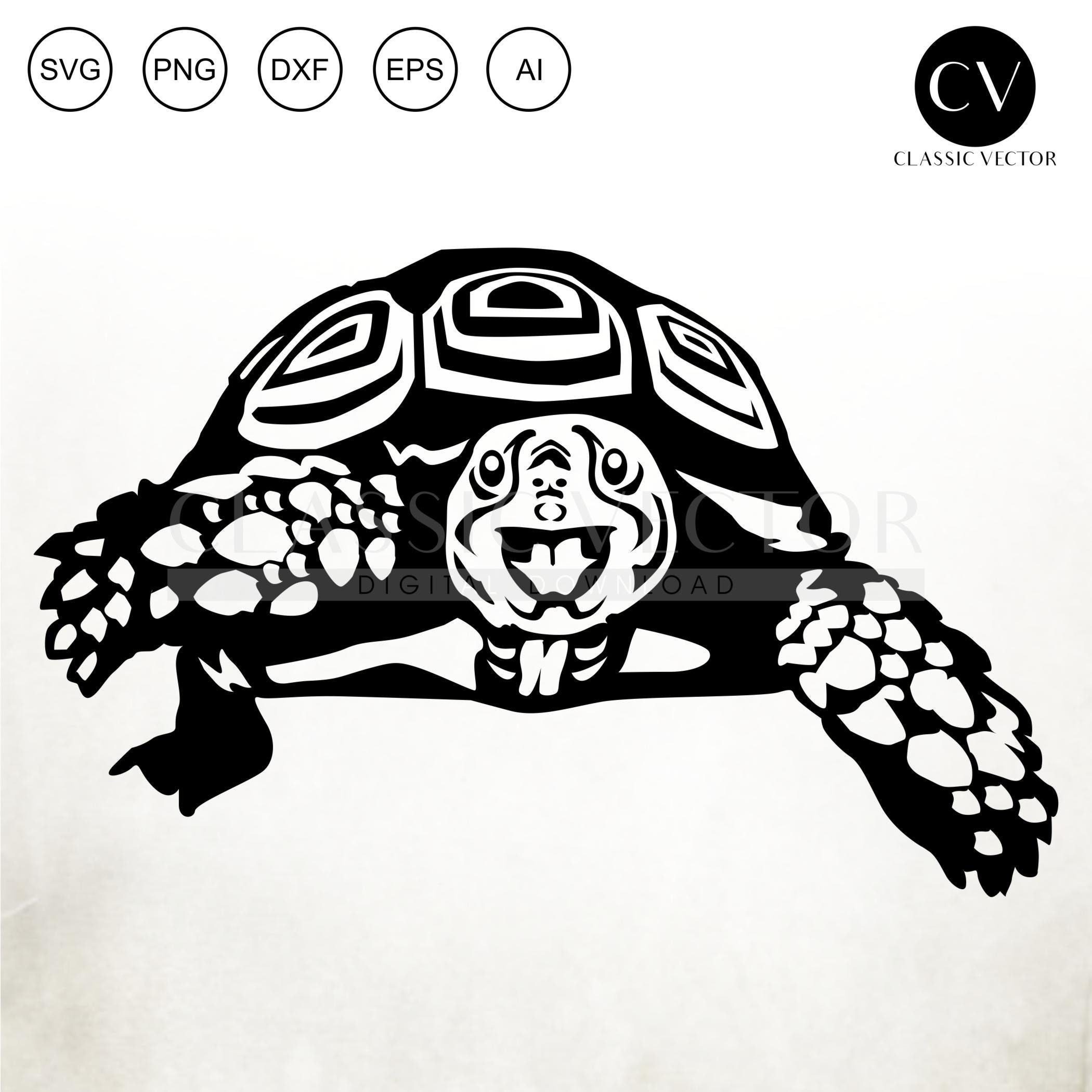 Linda tortuga Svg Tortuga Png Tortuga Svg Tortuga Png - Etsy España