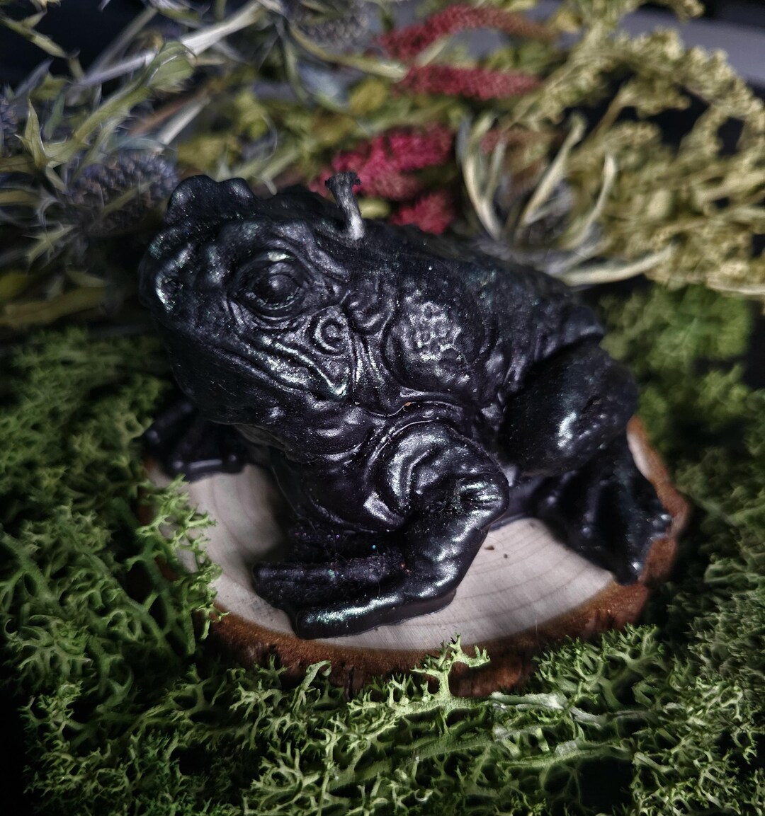 Witch's Familiar Toad Candle & Soy Botanical Wax Melt Bar Gift Set - Etsy
