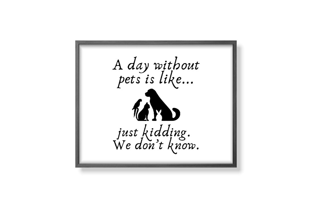 Veterinary Office Sign Sayings, Vet Office Decor, Veterinarian Office ...