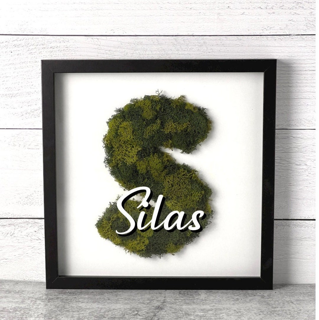 Framed Moss Letter Monogram Shadowbox, 8 Inch Moss Letter, Moss Initial ...