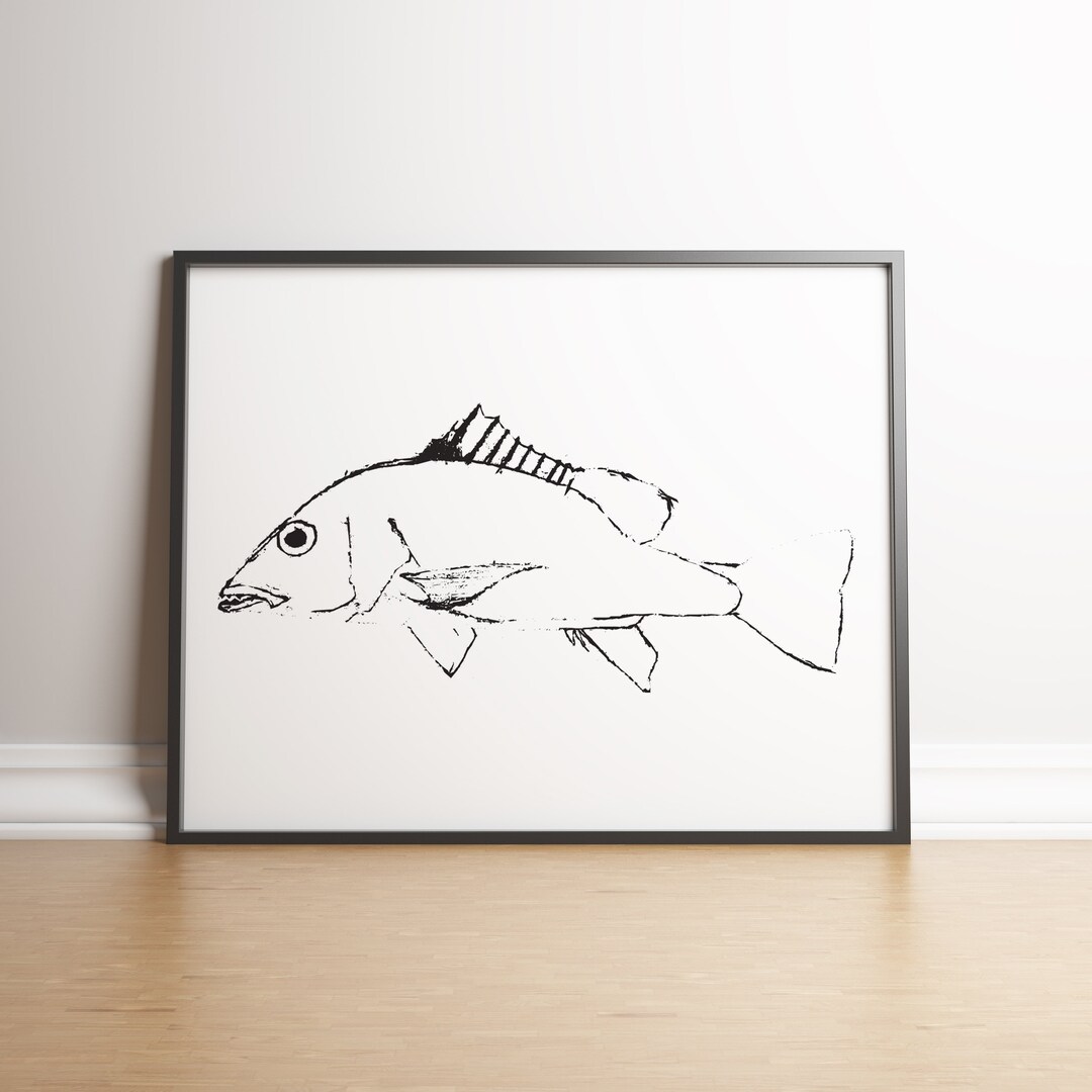 Rough Sketch Mangrove Jack Fish Illustration Print Wall Art Vector ...