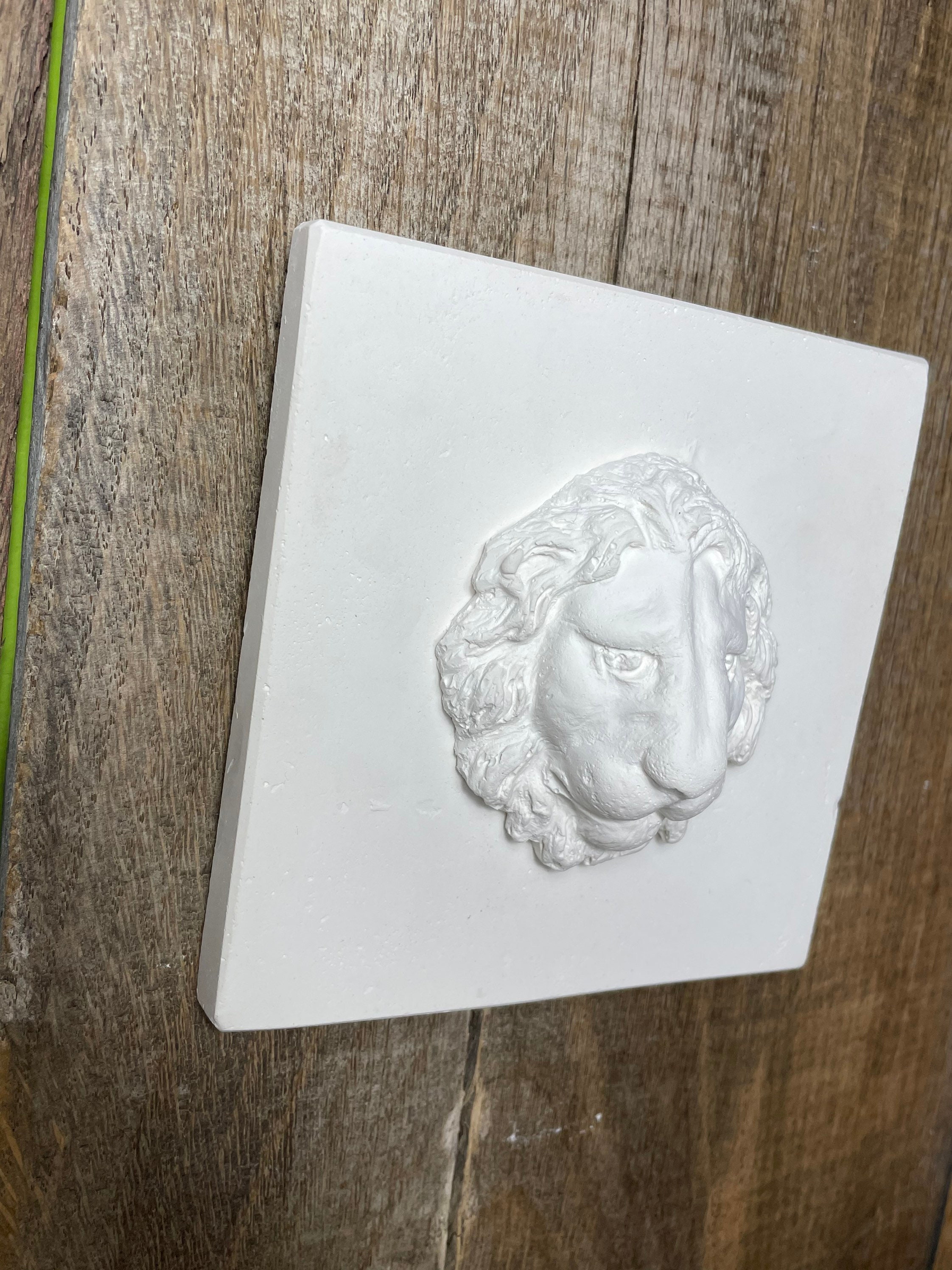 Lion Head, Plaster Plaque, Plaster Cast, Wall Art,tile,decorative Tile,gift, Cottage, Nature ...