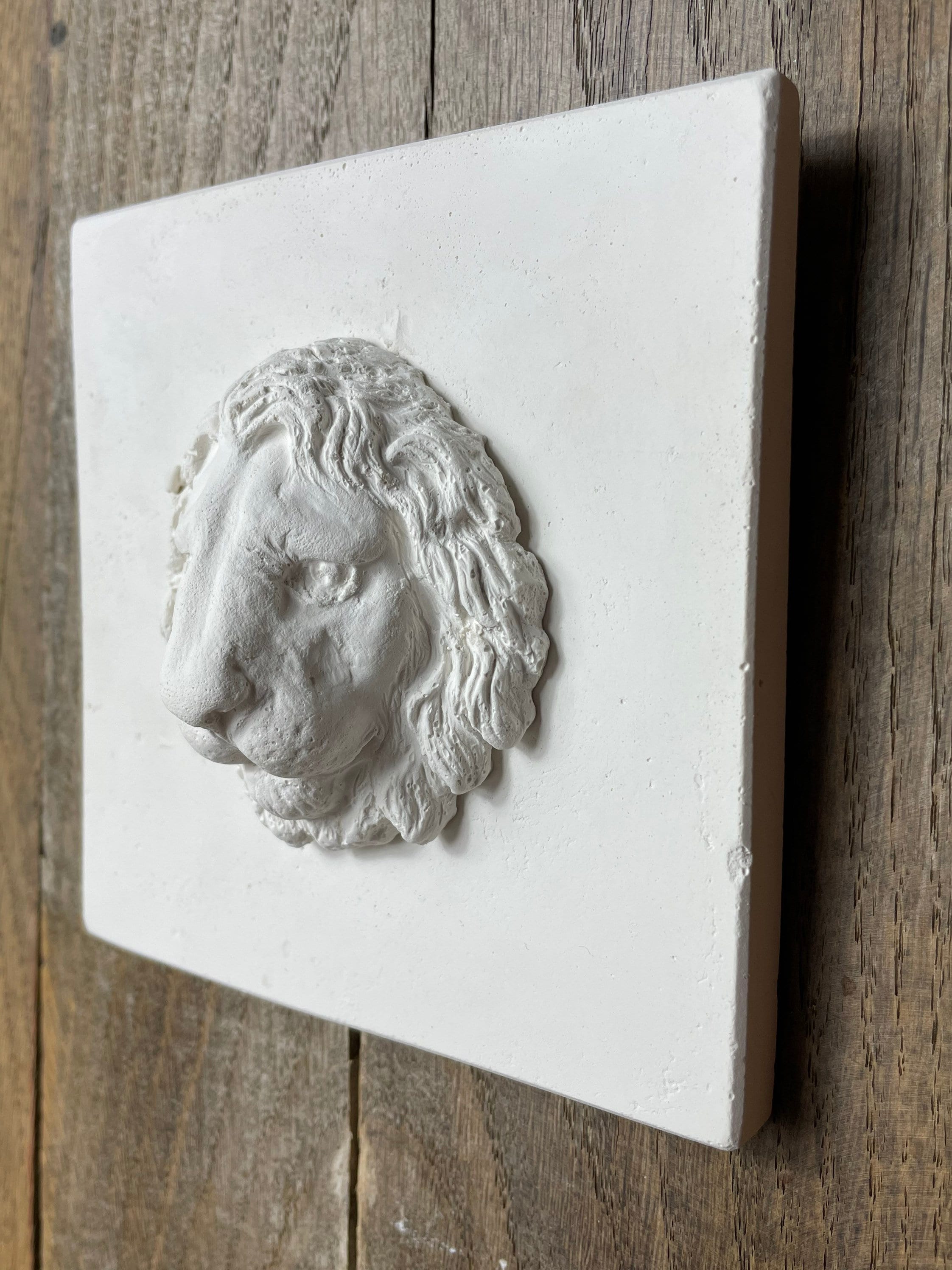 Lion Head, Plaster Plaque, Plaster Cast, Wall Art,tile,decorative Tile ...