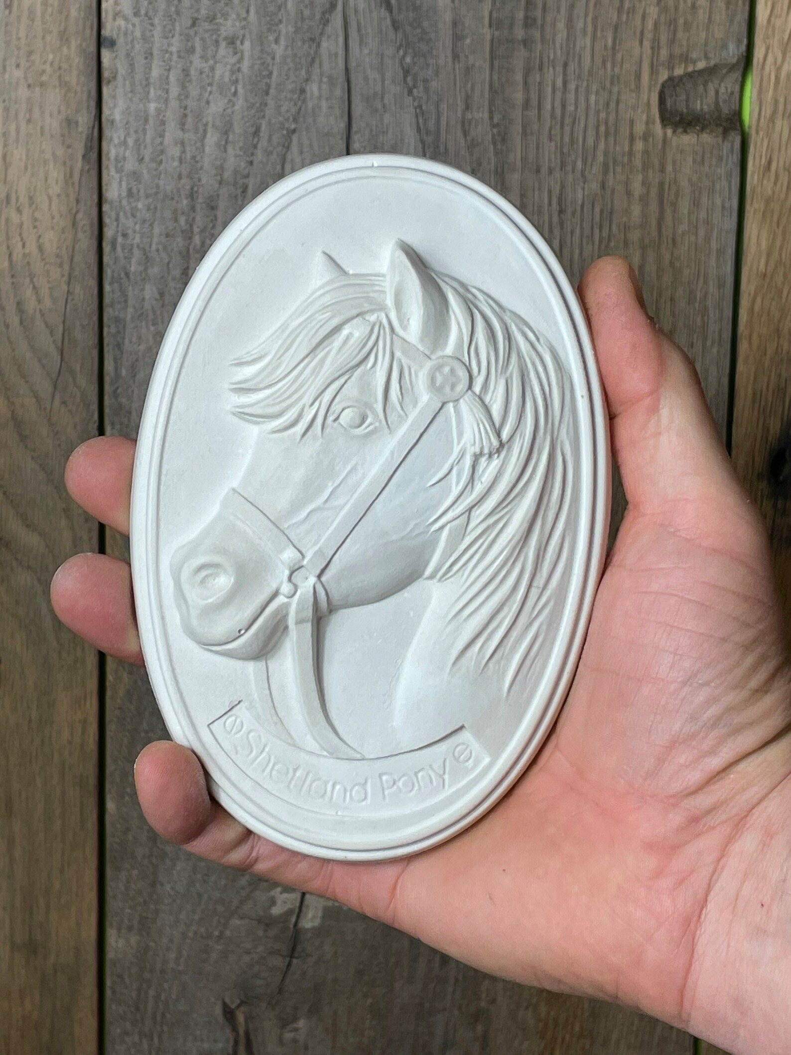 Shetland Pony , Plaster Plaque, Wall Art , Horse , Stables , Gift , Plaster - Etsy