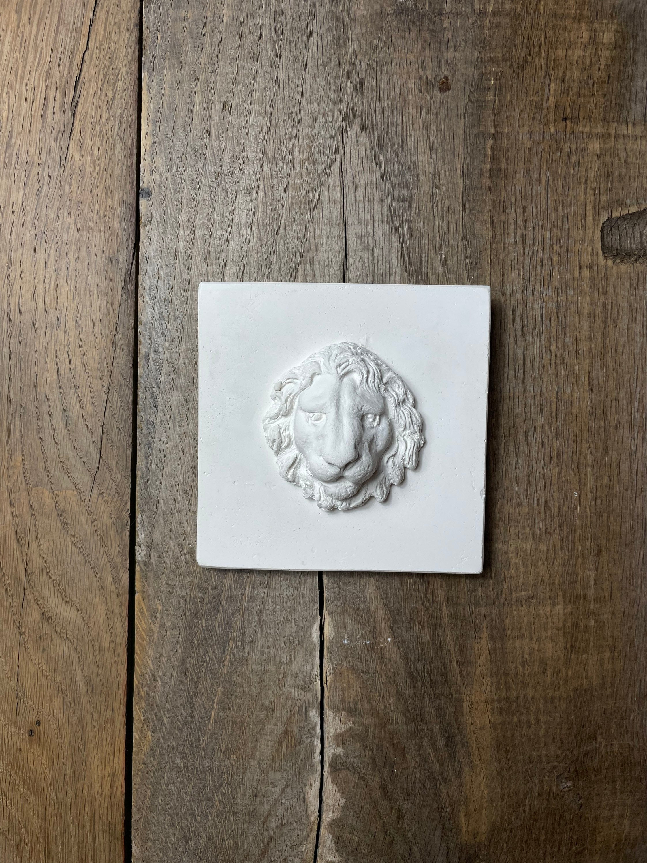 Lion Head, Plaster Plaque, Plaster Cast, Wall Art,tile,decorative Tile ...
