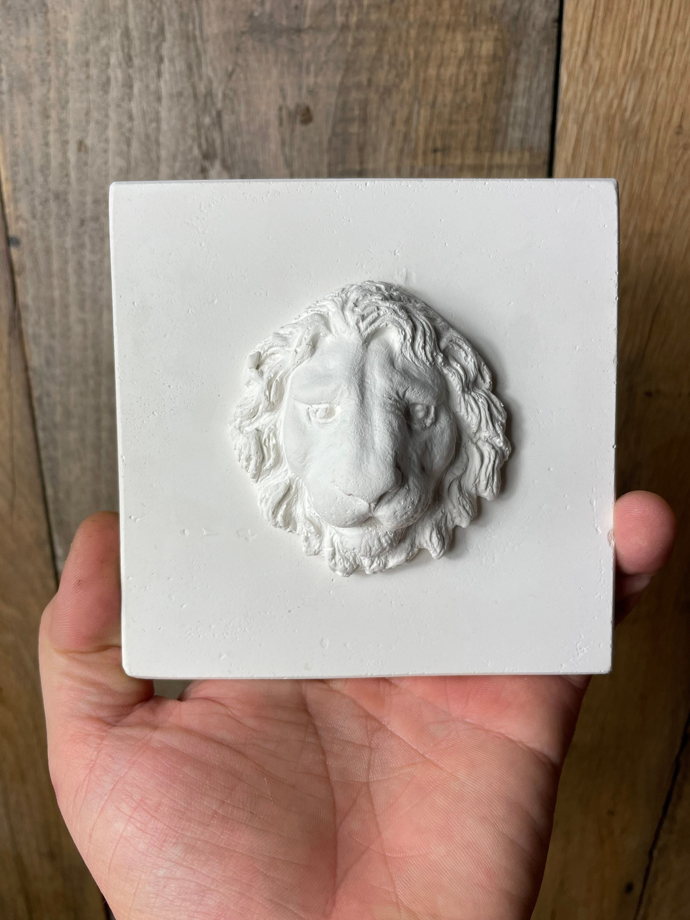 Lion Head, Plaster Plaque, Plaster Cast, Wall Art,tile,decorative Tile ...