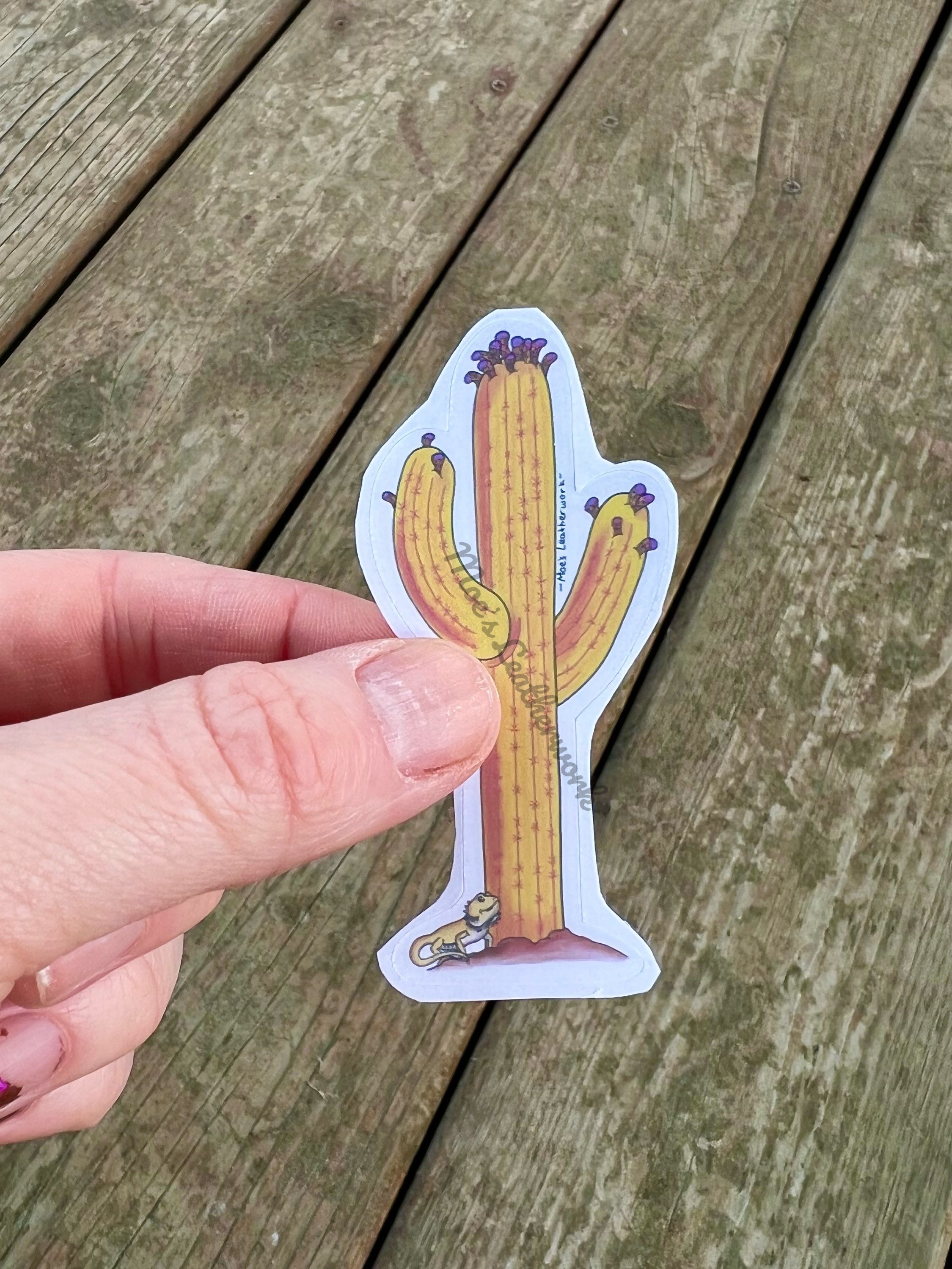 Saguaro Sticker Pack Catcus Sticker Bearded Dragon Glossy Water ...