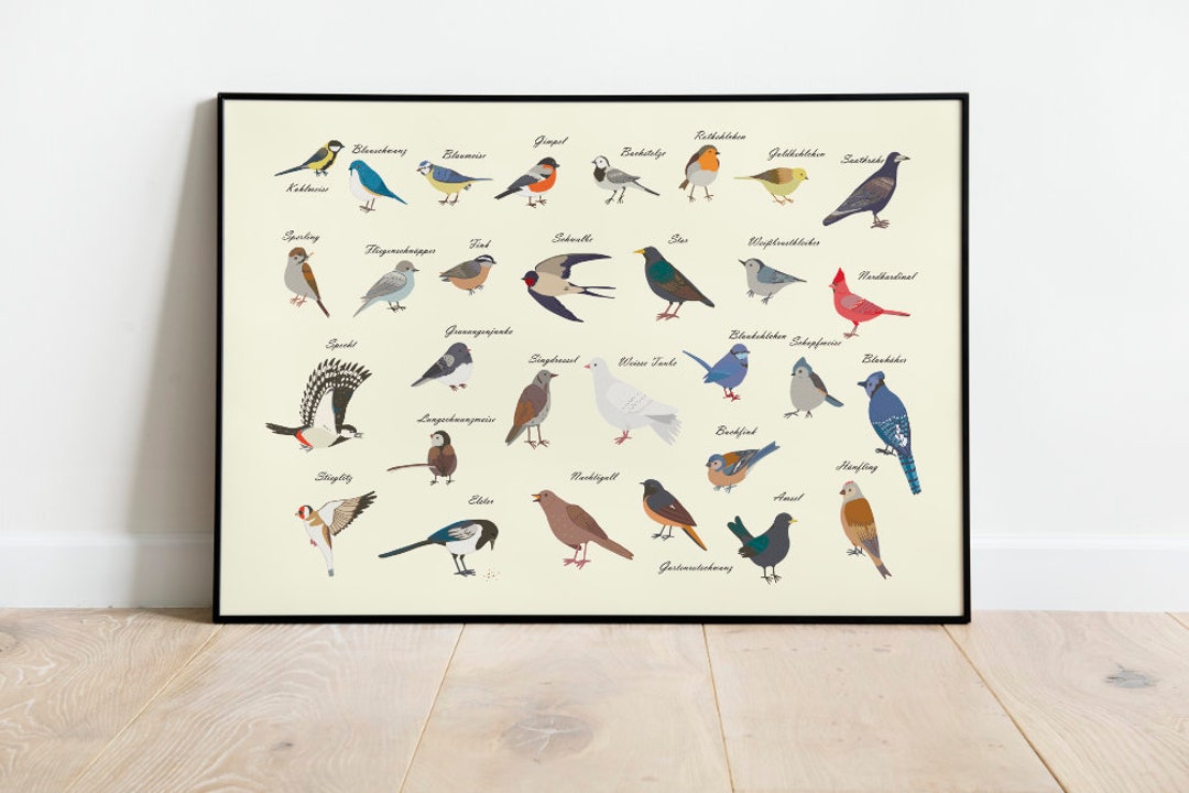 Native Birds Poster Garden Birds Nature Picture - Etsy
