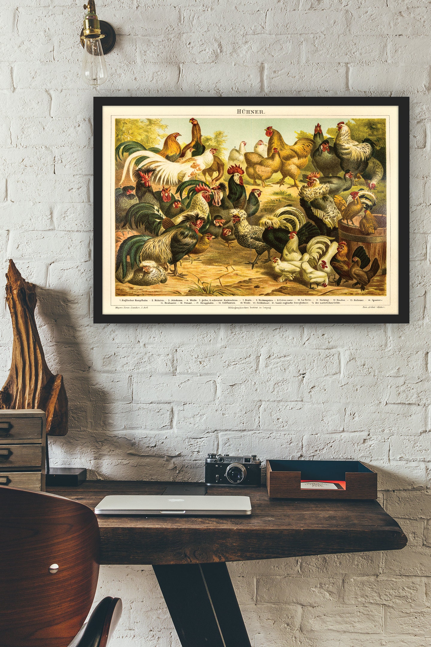 Chicken Farm Poster Vintage Illustration Image | Etsy UK