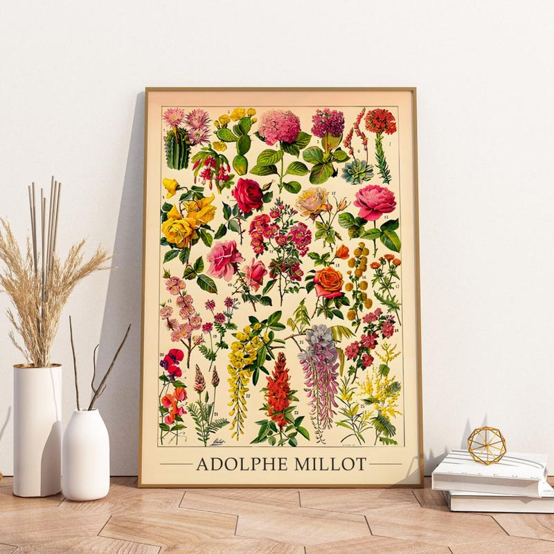 Adolphe Millot - Etsy