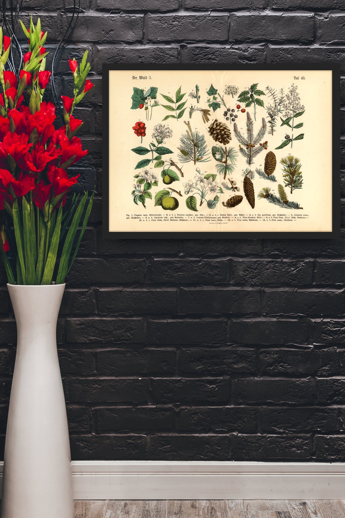 Wald Poster Vintage Botanik Illustration 3 | Etsy