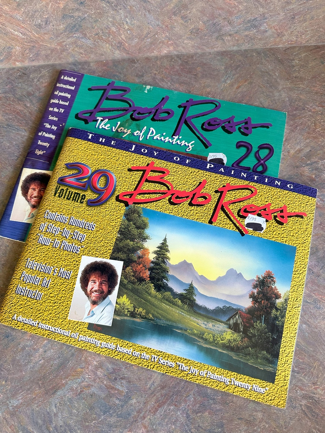 Bob Ross the Joy of Painting Step-by-step Books Vol. 28 & 29 - Etsy