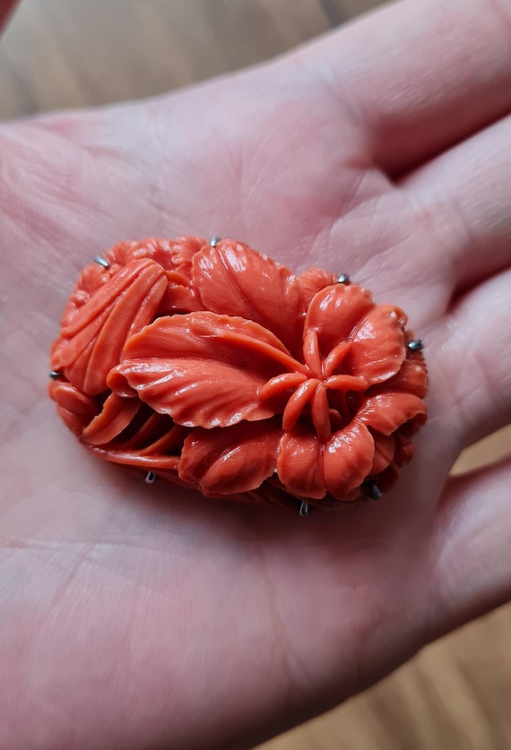 Genuine Masterpiece Japanese Carved Momo Coral Flower… - Gem