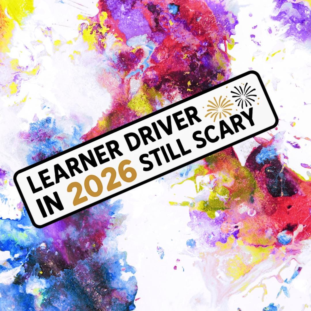 Learner Driver Magnet or Sticker – Newly Passed Driver Gift (20x6 Cm ...