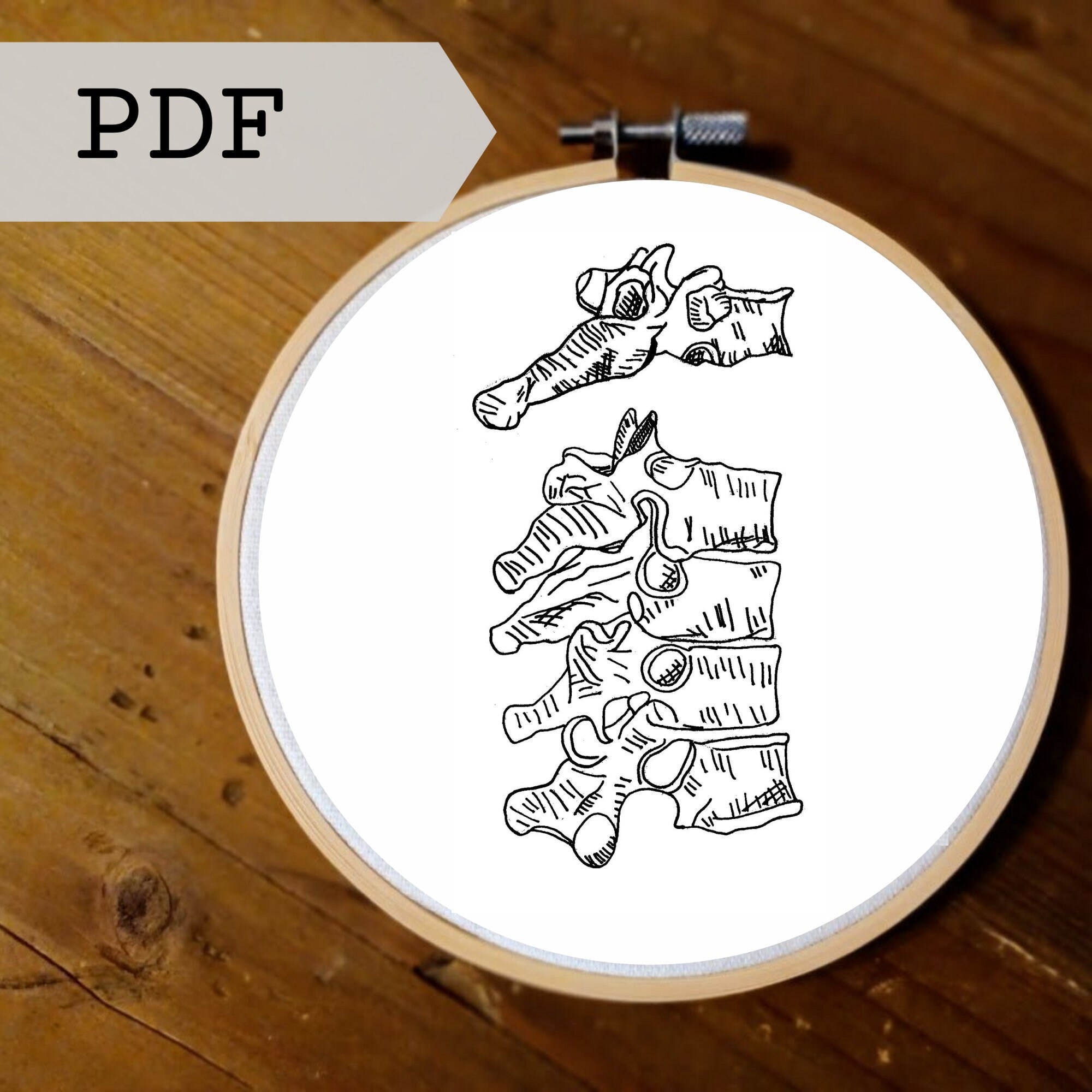 Embroidery Digital Pattern Anatomy, Spine - Etsy