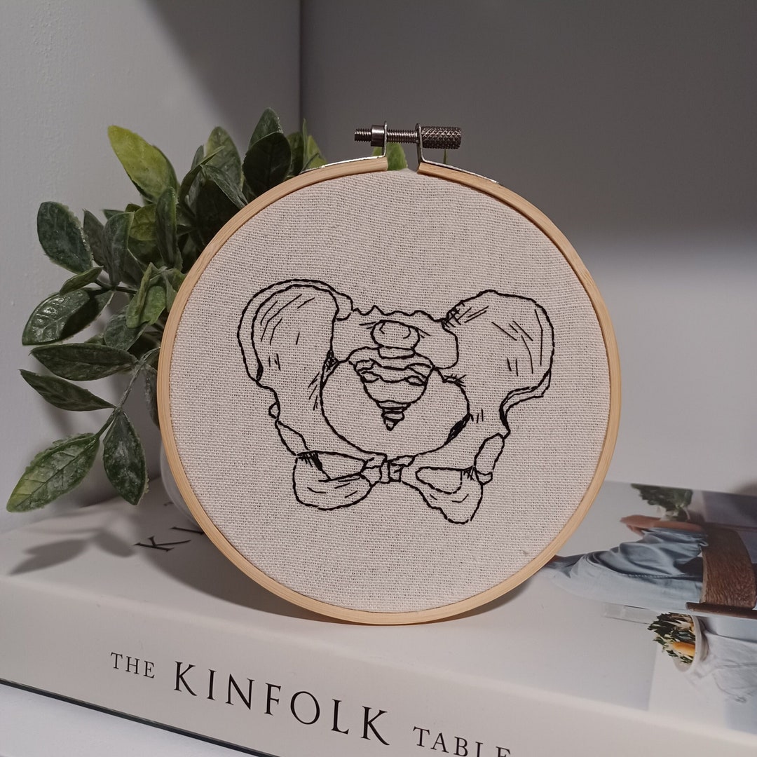 Embroidery Digital Pattern - Anatomy, Pelvis - Etsy