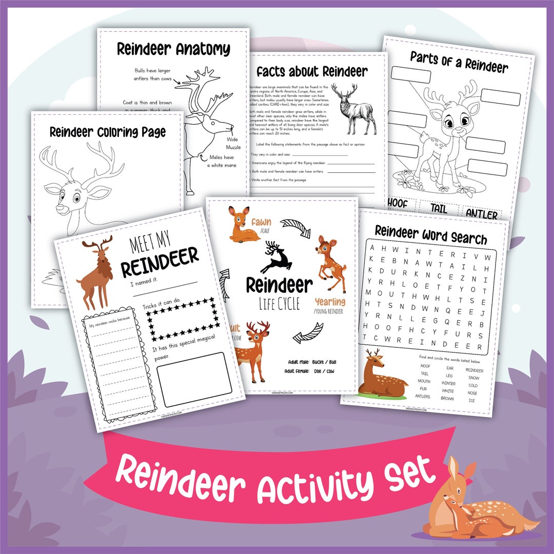 Reindeer Activity Set, Instant Download, Christmas Workbook, Digital ...