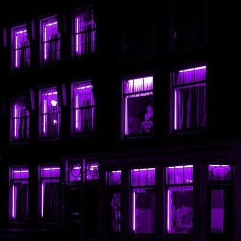 Purple Aesthetic Digital Download 50 PICTURES - Etsy