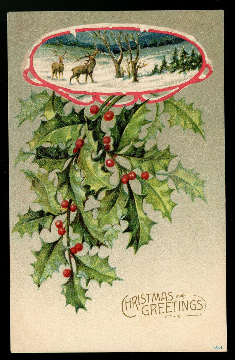 Antique Christmas Postcard. Holly. Deer in Forest. Embossed. - Etsy