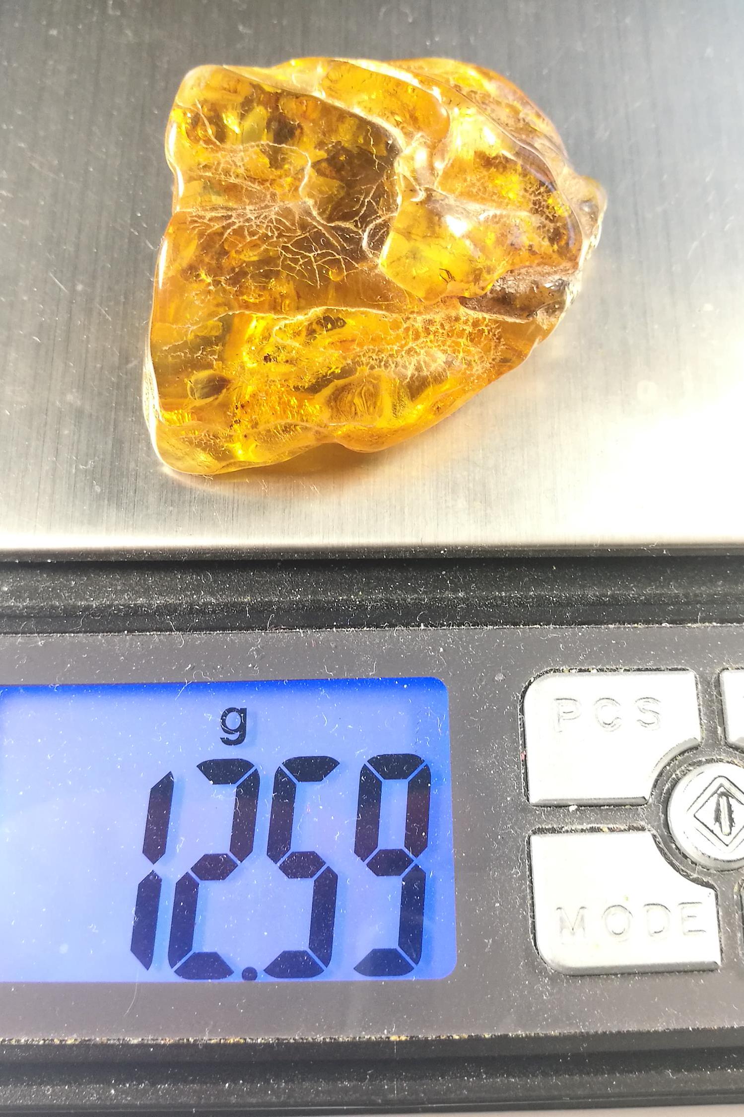 Natural Baltic Amber Stone Bead With Insect Fossil Inclusion (beetle ...