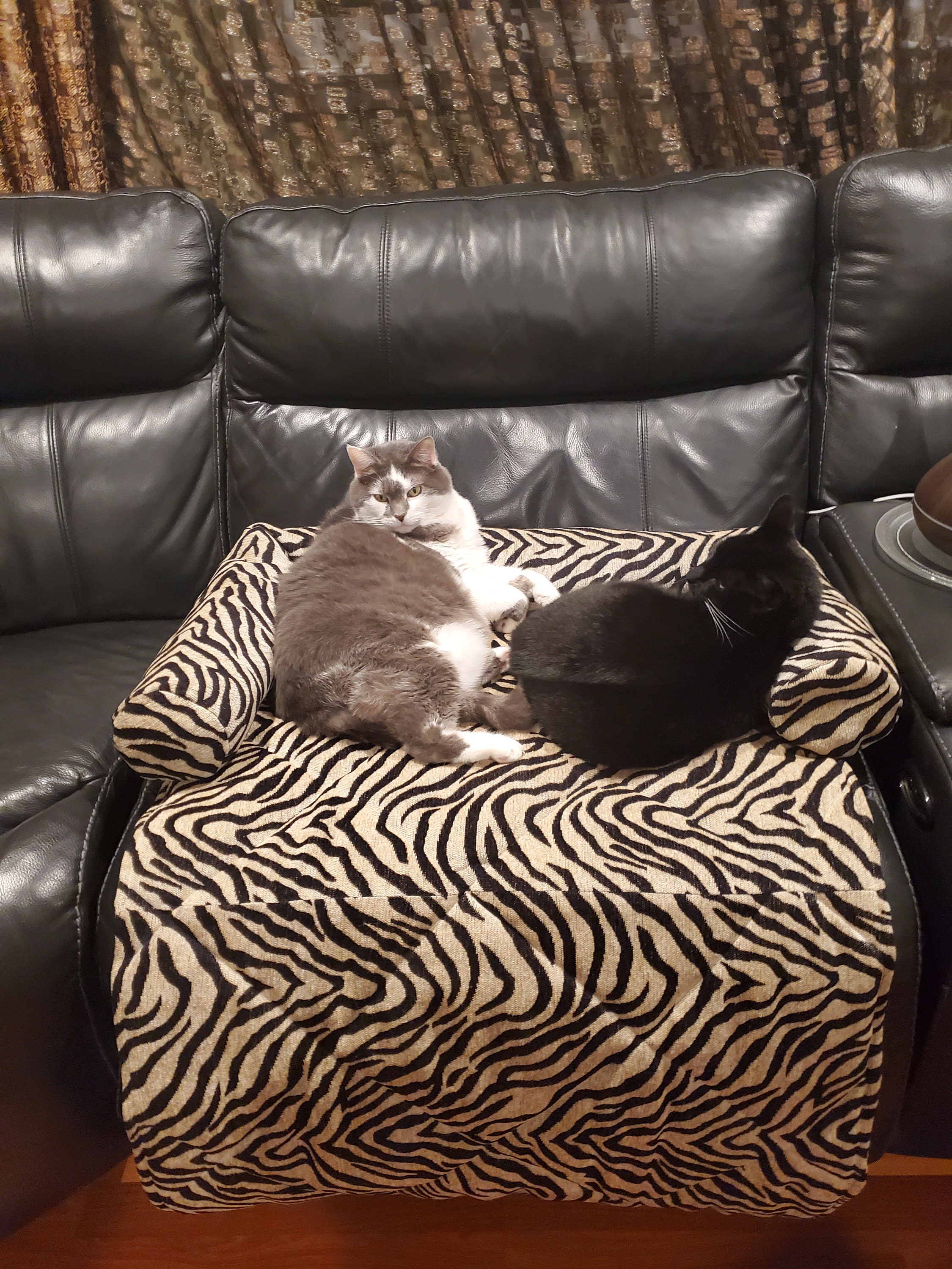Custom Cat Couch Insert Bed - Etsy