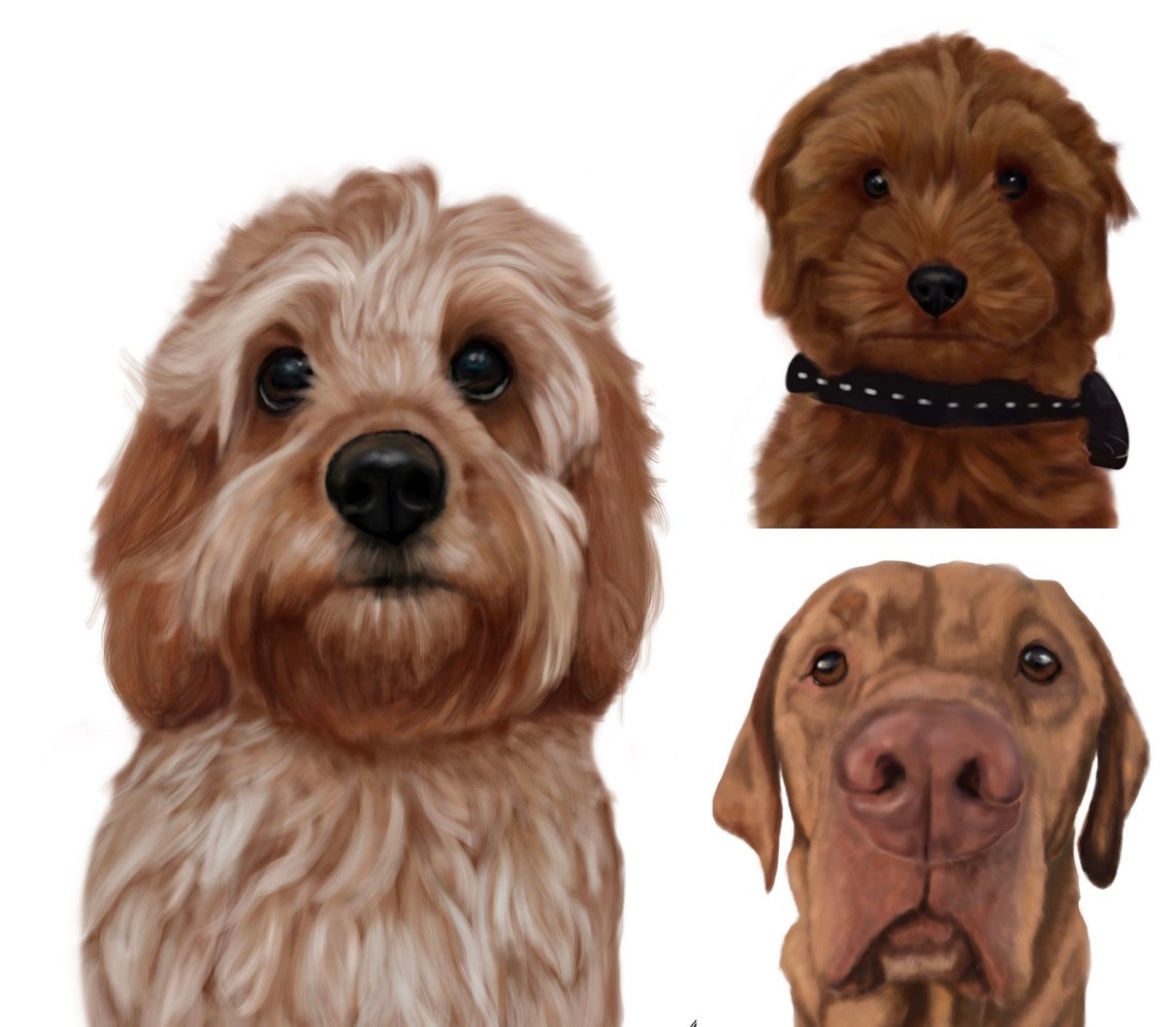 Custom Pet Portrait Digital Pet Portrait Pet Portrait - Etsy