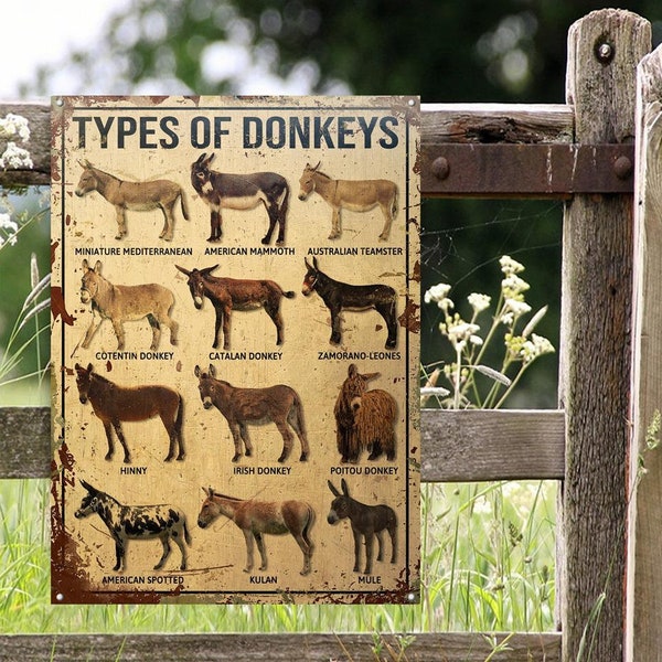 Donkey Yard Art - Etsy