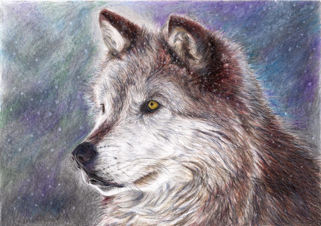 Wolf Art Print, Winter Wolf Art Print, Wall Art, Wall Decor, House ...