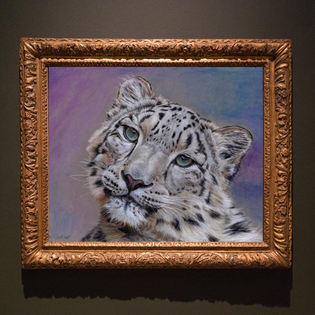 Snow Leopard Art Print, Home Decor, House Warming, Wall Decor, Snow ...