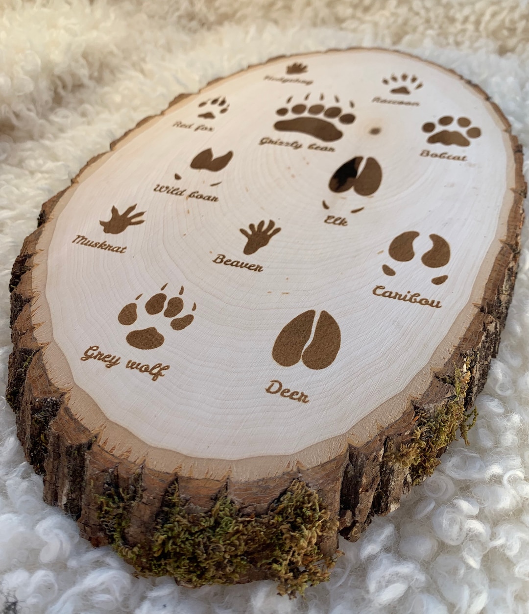 Animal Lover Tracks Natural Decor Woodland Nursery, Forest Nursery, Zoo ...