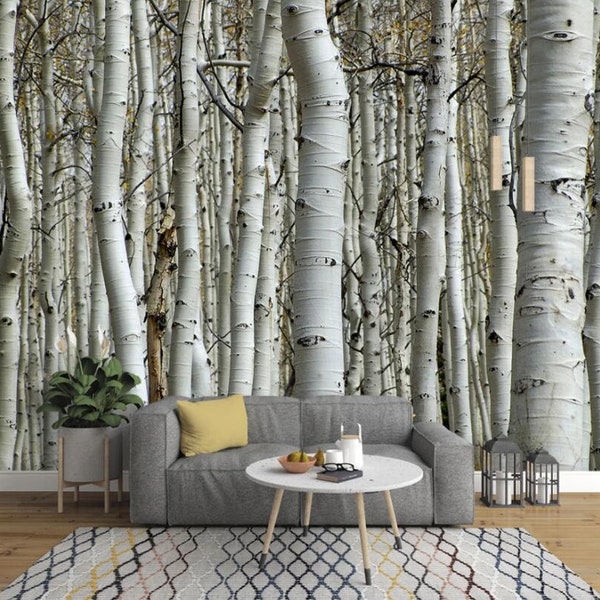 Birch Tree Wallpaper - Etsy
