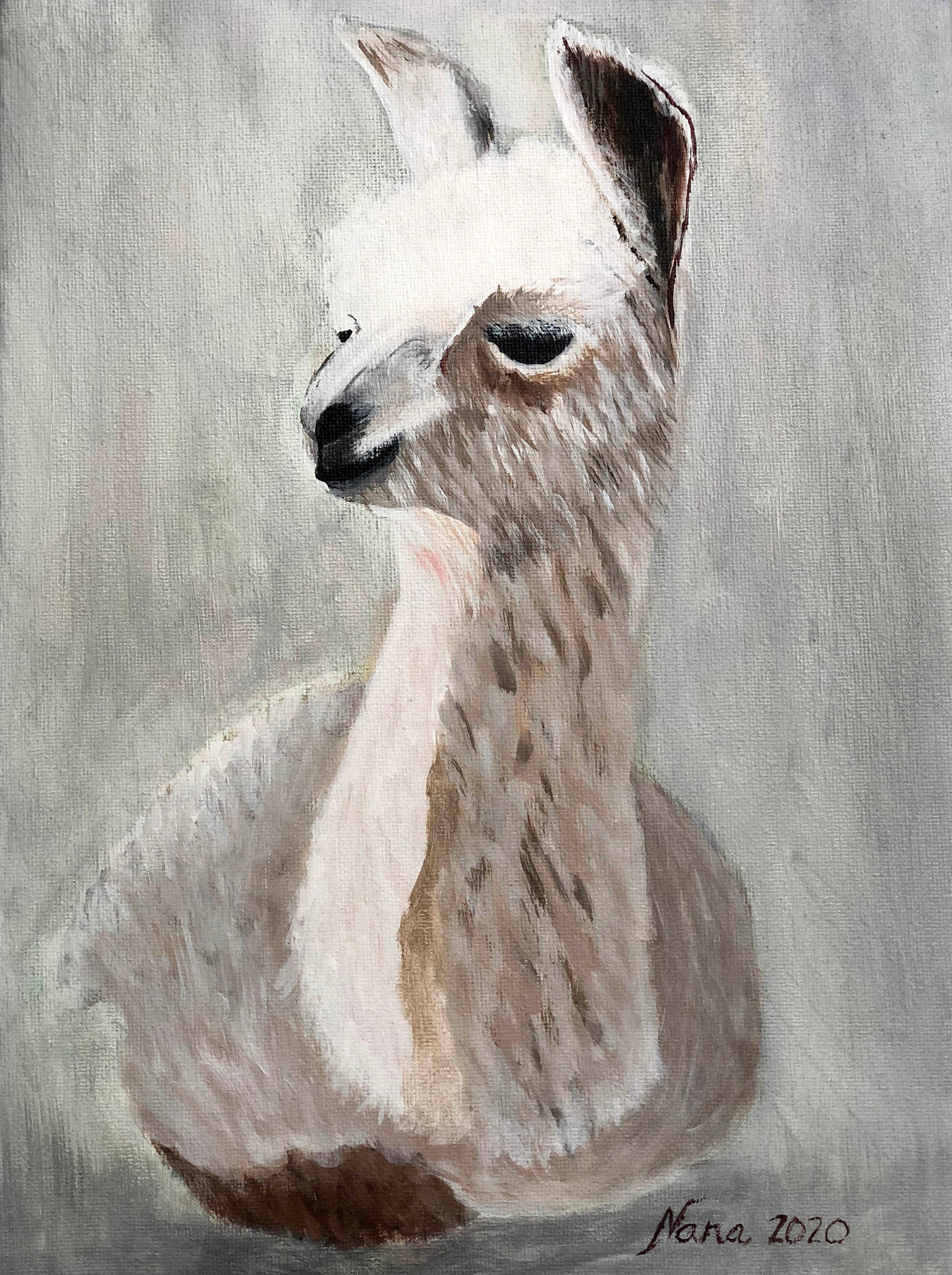 Llama Art Original Acrylic Painting on Canvas or Prints for Nursery ...