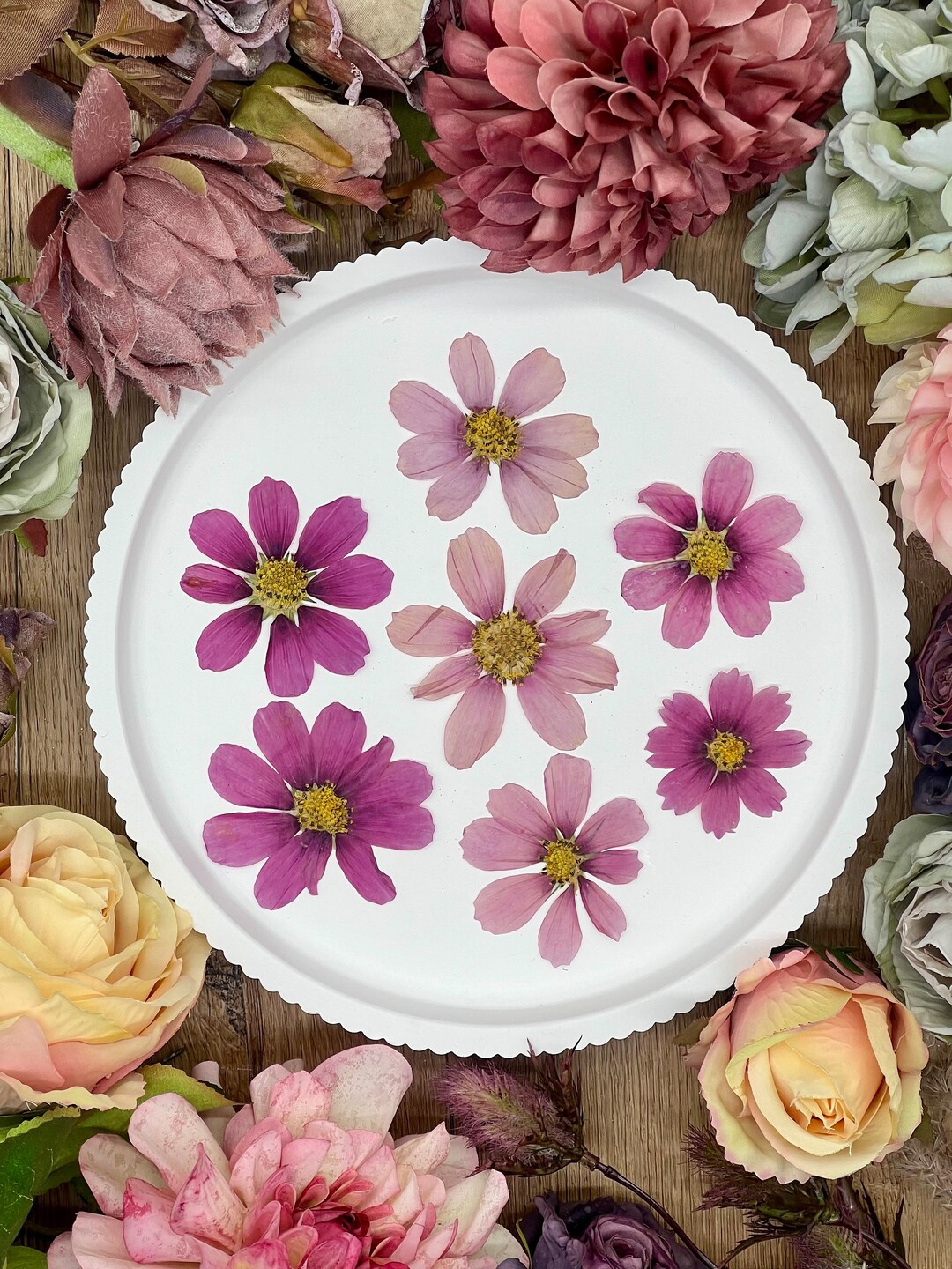Dried Flowers | Cosmos Flowers Pink | 12 Pieces | Pressed Flowers for ...