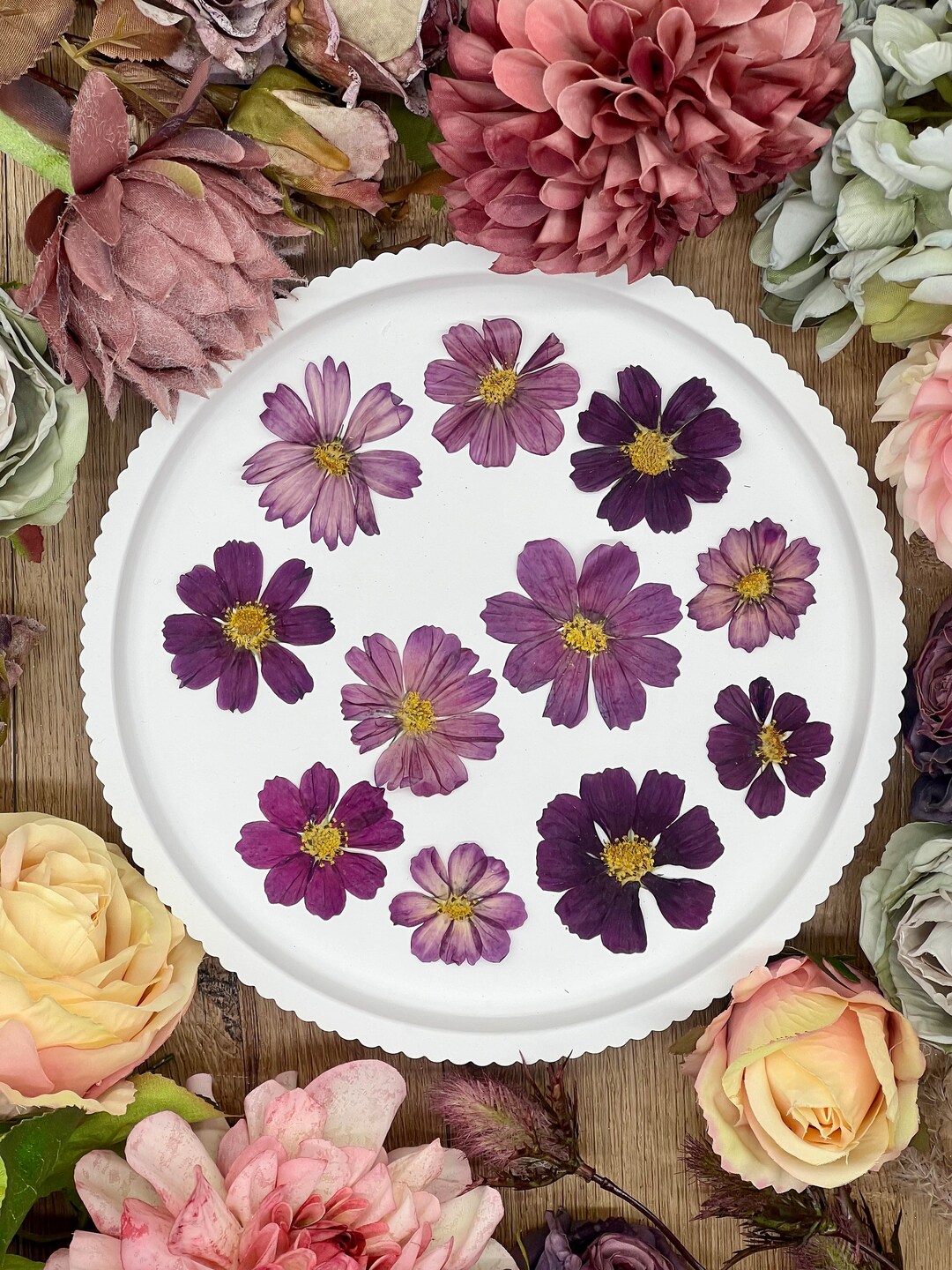 Dried Flowers | Cosmos Flowers Burgundy | 12 Pieces | Pressed Flowers ...