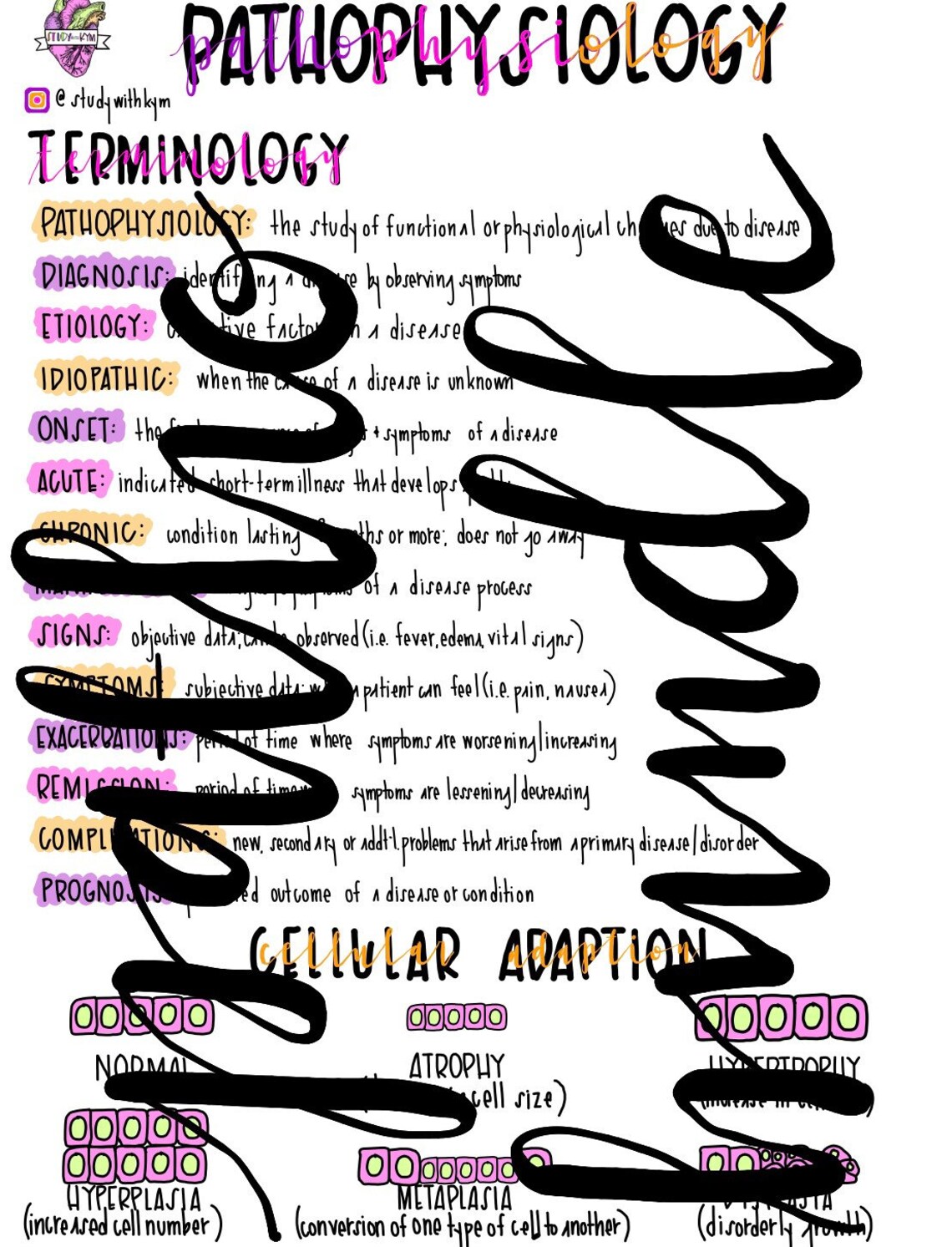 Pathophysiology Complete Course Study Guide - Etsy Australia