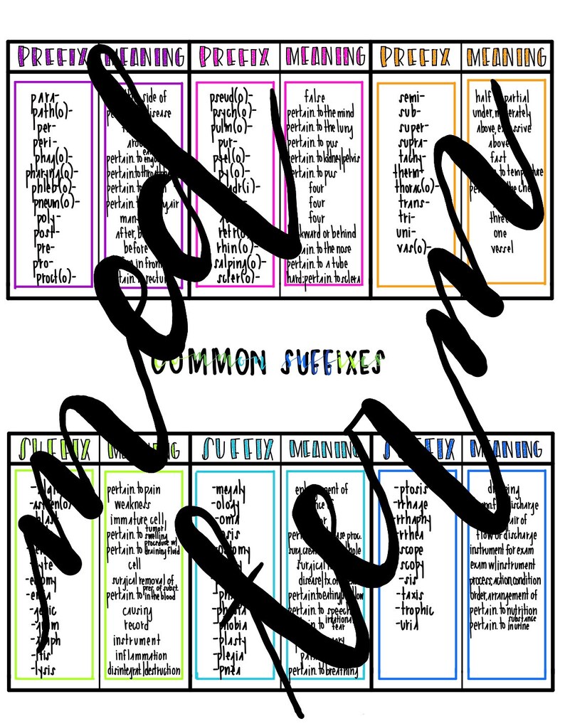 Medical Terminology Cheat Sheet - Etsy