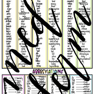 Medical Terminology Cheat Sheet - Etsy