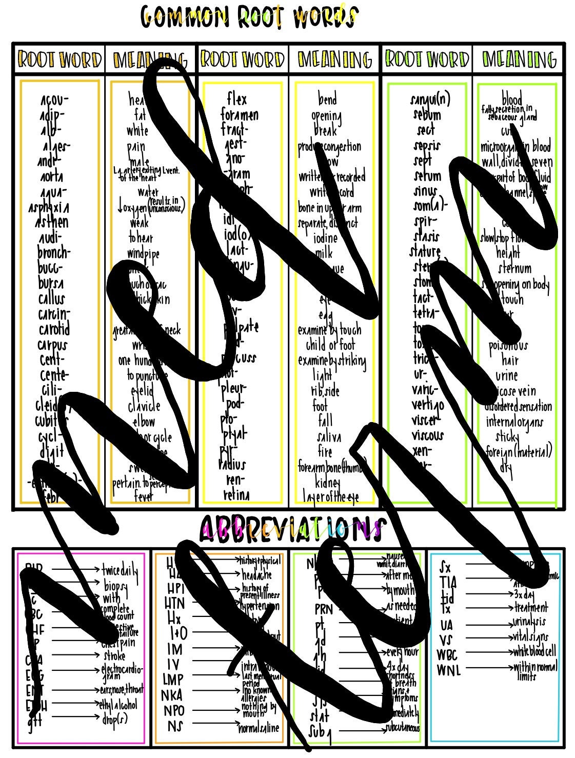 Medical Terminology Cheat Sheet - Etsy