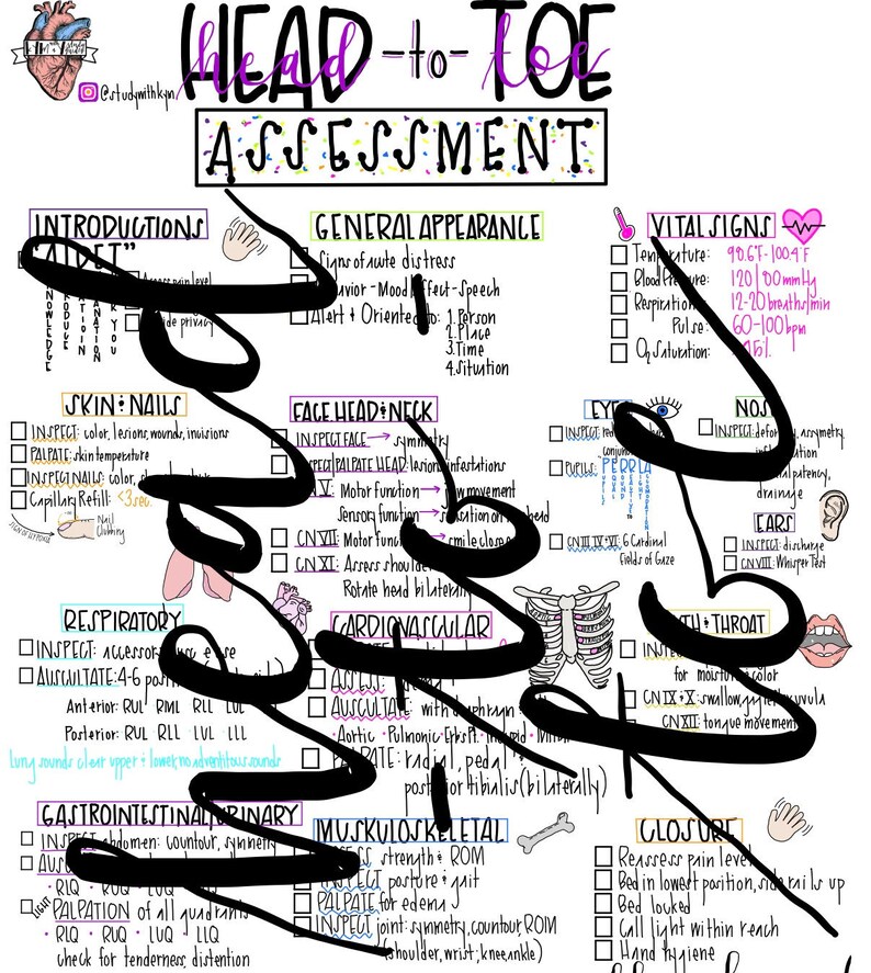 Head to toe Assessment Sheet Etsy Canada